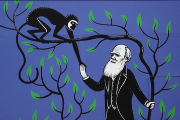 Neil Meldrum | Public Speakers in the UK