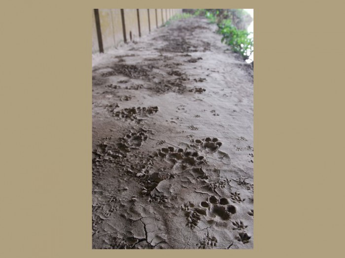 Stephen Powles | Public Speakers in the UK