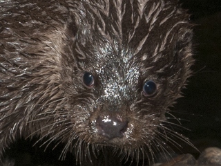 Stephen Powles | Public Speakers in the UK