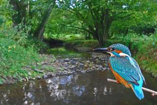 Stephen Powles | Public Speakers in the UK