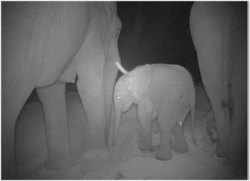 Stephen Powles | Public Speakers in the UK