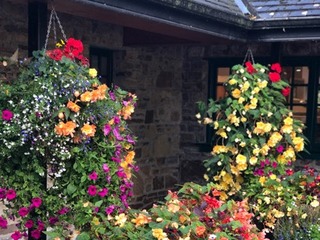 Pip Smith | Public Speakers in the UK