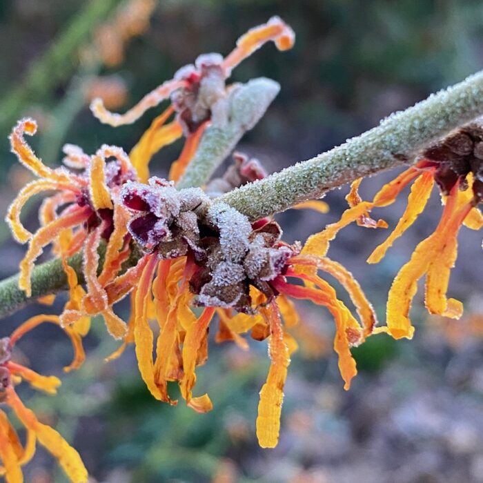 Pip Smith | Public Speakers in the UK