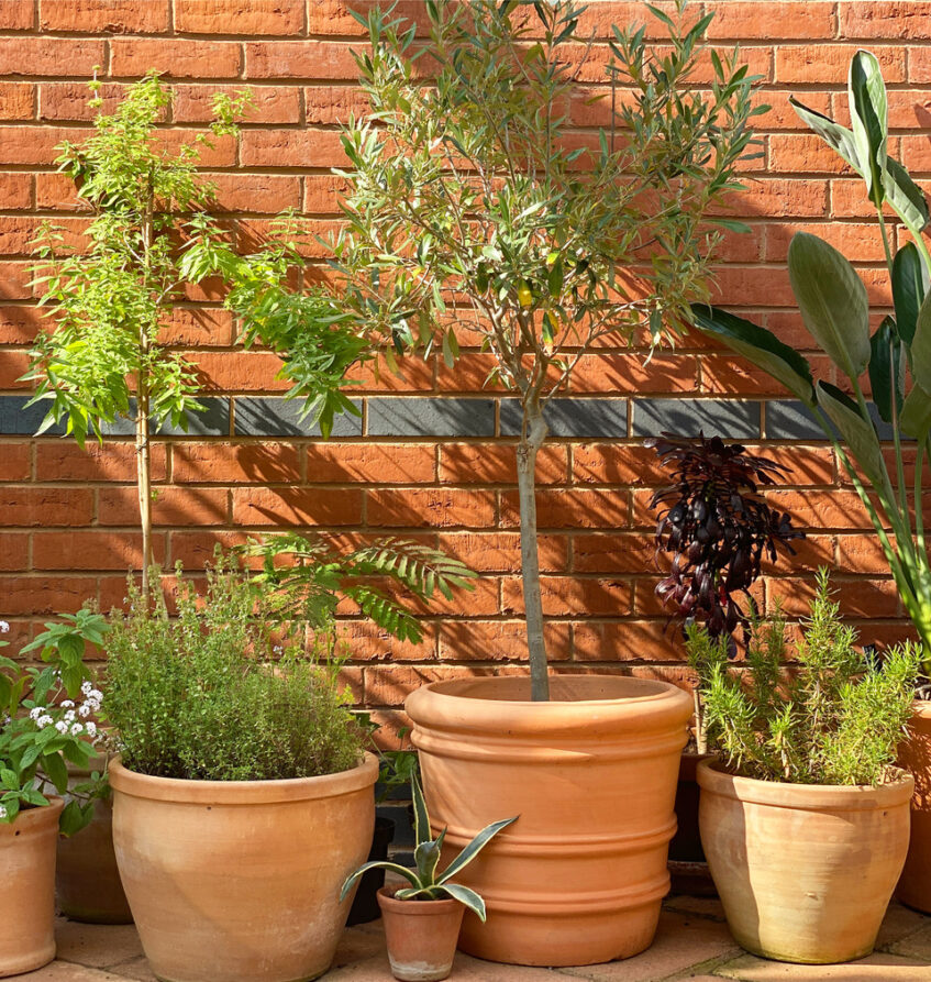 Pip Smith | Public Speakers in the UK