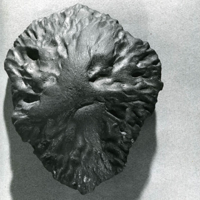 Martin Lunn MBE FRAS | Public Speakers in the UK